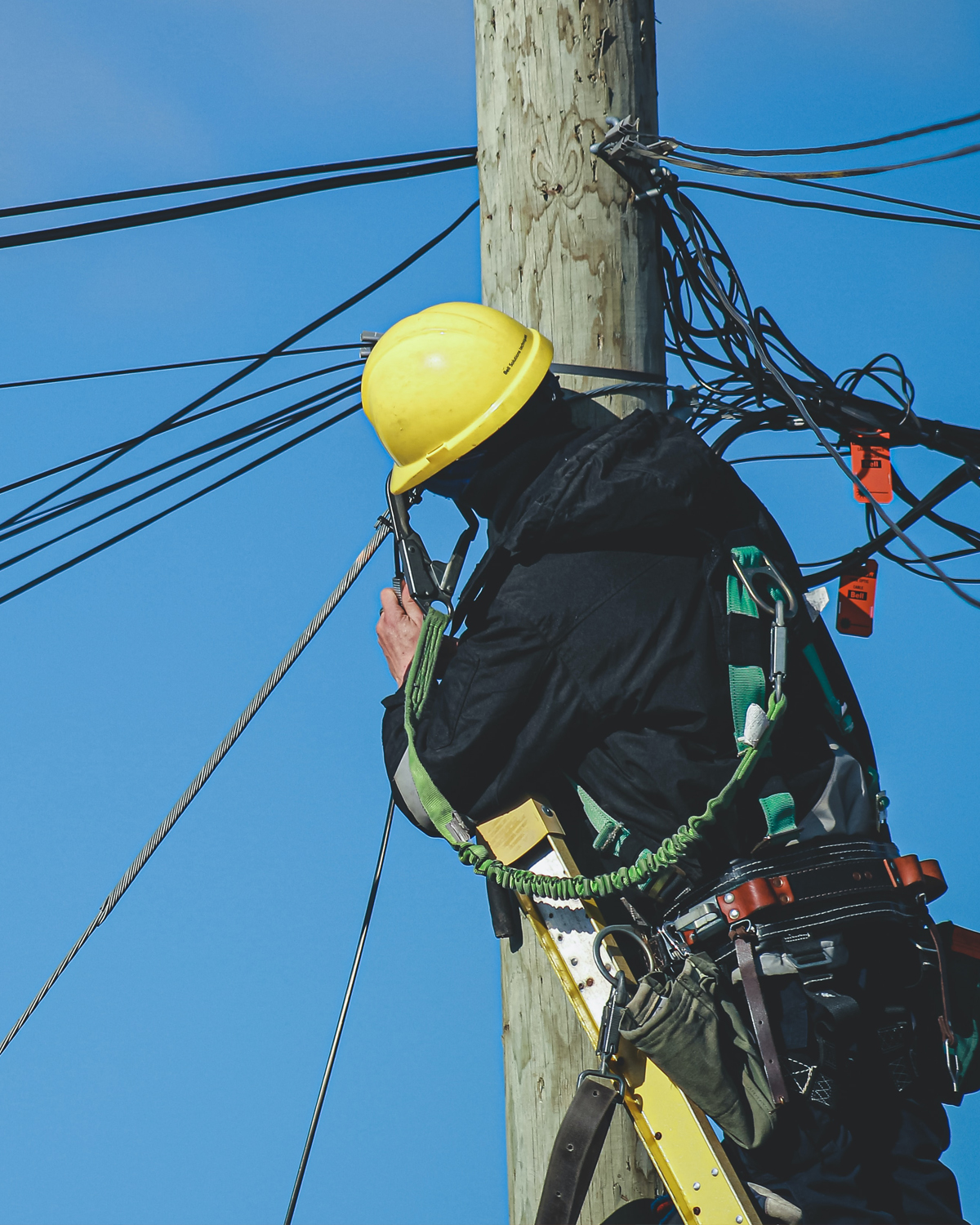 Government - Vertical Communications